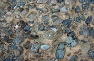 Three Types of Sedimentary Rocks and 30 Examples - Homes Pursuit