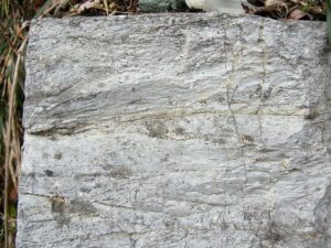 Three Types of Sedimentary Rocks and 30 Examples - Homes Pursuit