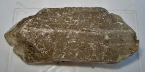 Three Types of Sedimentary Rocks and 30 Examples - Homes Pursuit