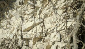 Three Types of Sedimentary Rocks and 30 Examples - Homes Pursuit