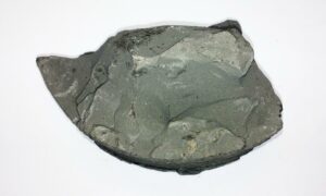 Three Types of Sedimentary Rocks and 30 Examples - Homes Pursuit