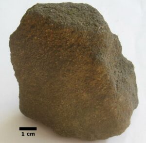 Three Types of Sedimentary Rocks and 30 Examples - Homes Pursuit