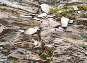 Three Types of Sedimentary Rocks and 30 Examples - Homes Pursuit