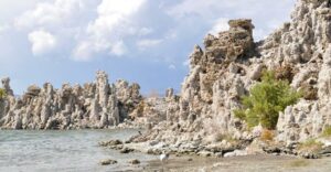 Three Types of Sedimentary Rocks and 30 Examples - Homes Pursuit